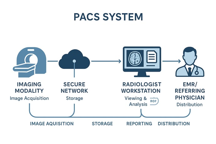 PACS Radiology: The Ultimate Guide to PACS System Medical Imaging